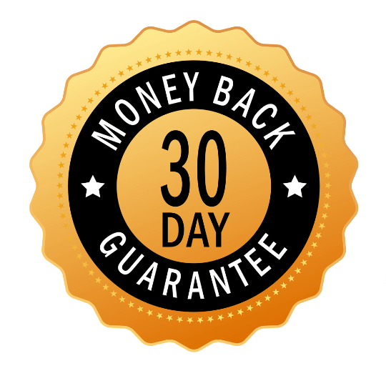 Practical Geriatrics Masterclass by Dr Elena Mucci